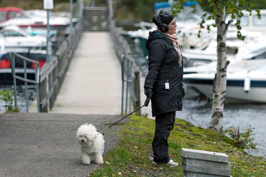 Lull Listening Session French Mottershead